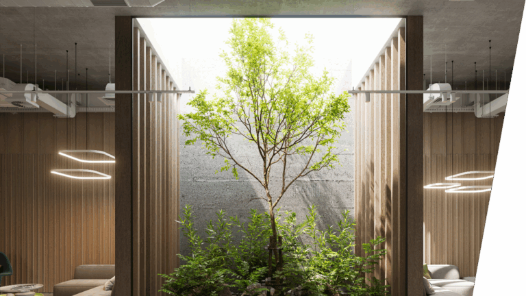 Notre identité | Mentorium Partners